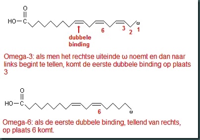 Mijmeringen: maart 2009
